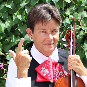 Book review of Secrets of a Mariachi Violinist - Readers' Favorite ...